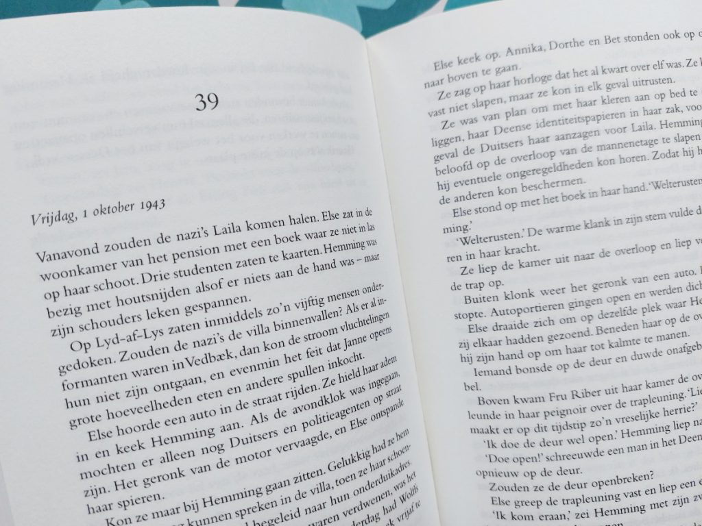 De Roeier van Kopenhagen - Sundin | Roman | StoerLeesVoer