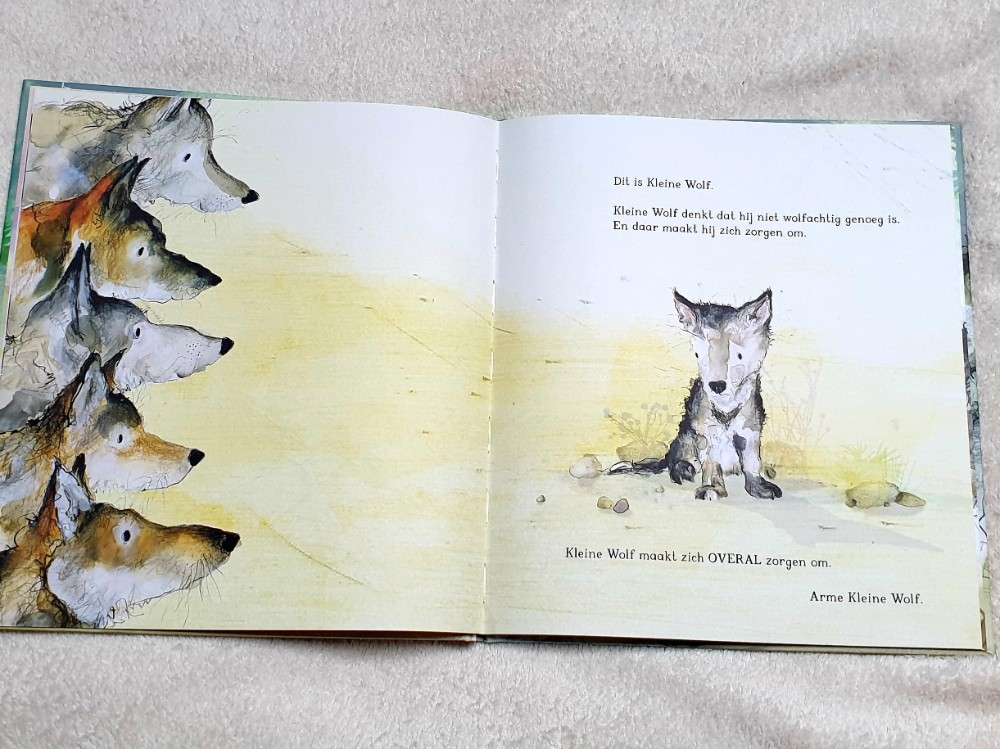 Kleine Wolf maakt zich zorgen - Catherine Rayner | StoerLeesVoer