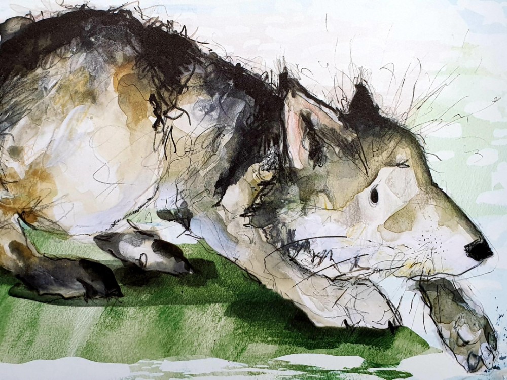 Kleine Wolf maakt zich zorgen - Catherine Rayner | StoerLeesVoer