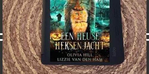 Mr. Mayfair - Louisa Bay | Deel 1 | Feelgood | StoerLeesVoer