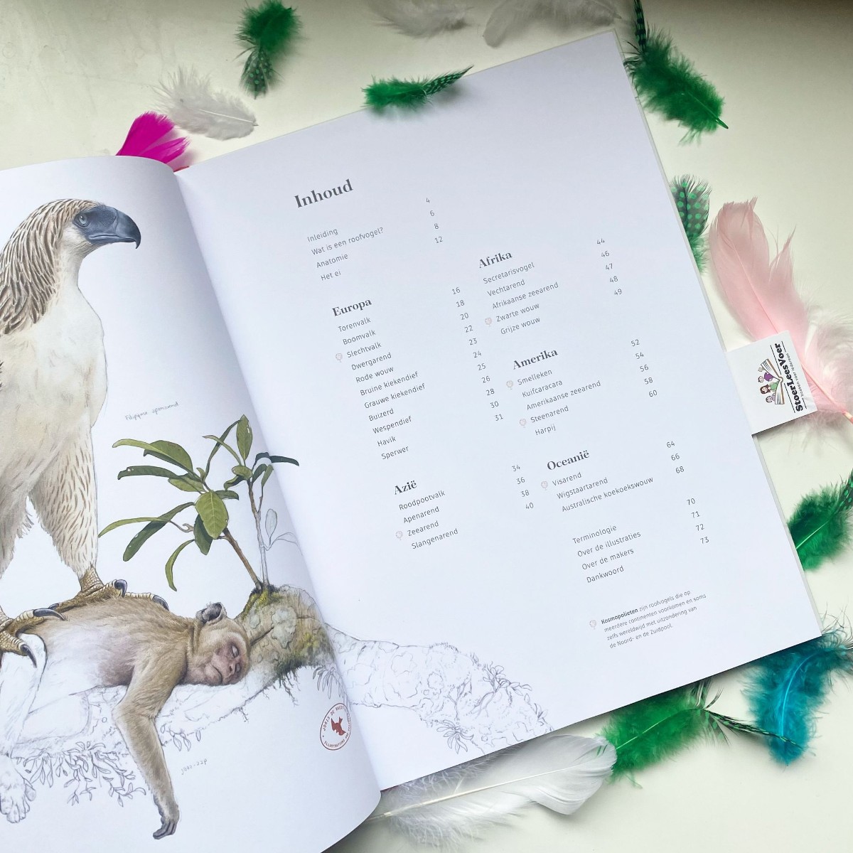 Roofvogels - De Raedt | Weetjesboek prenten | StoerLeesVoer