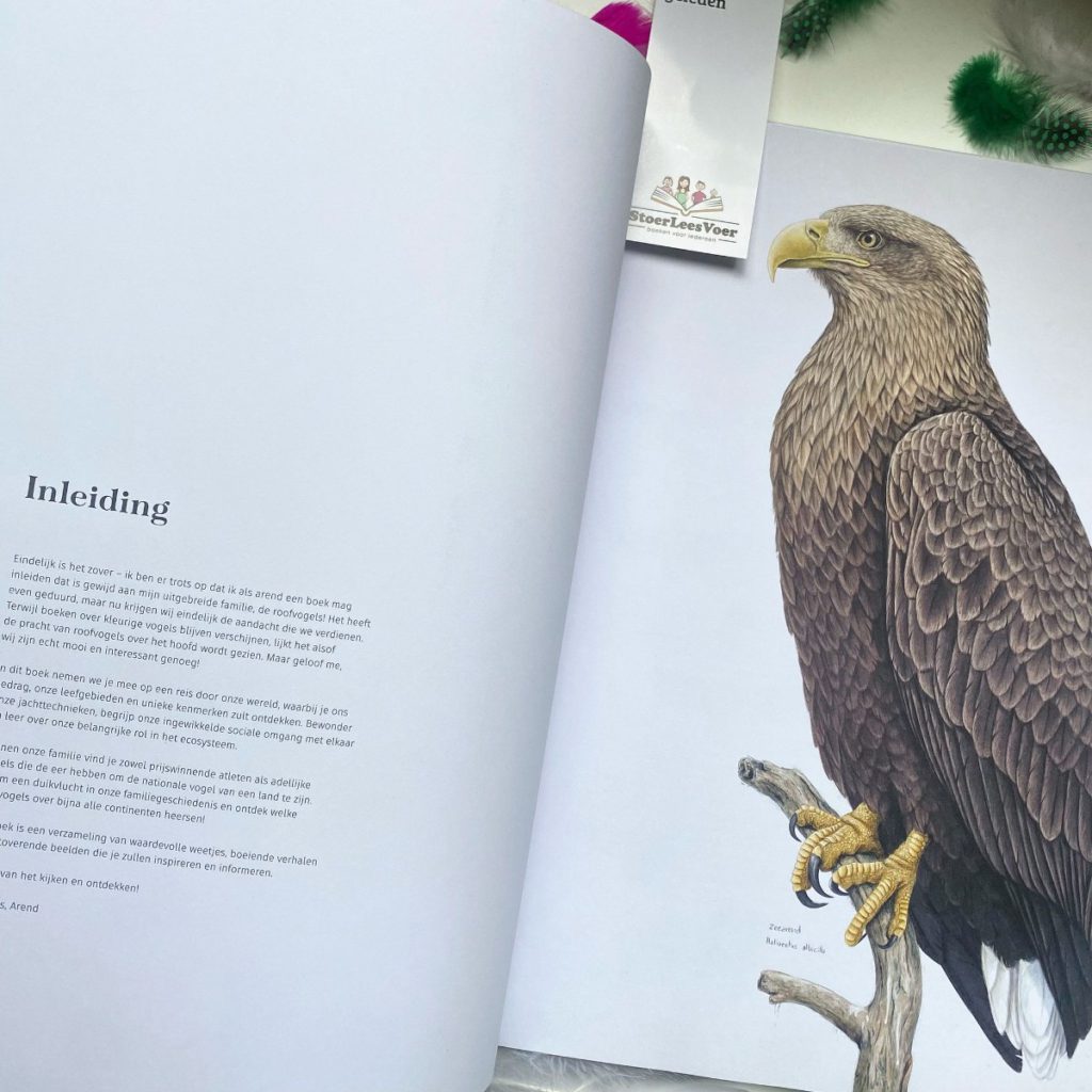 Roofvogels - De Raedt | Weetjesboek prenten | StoerLeesVoer