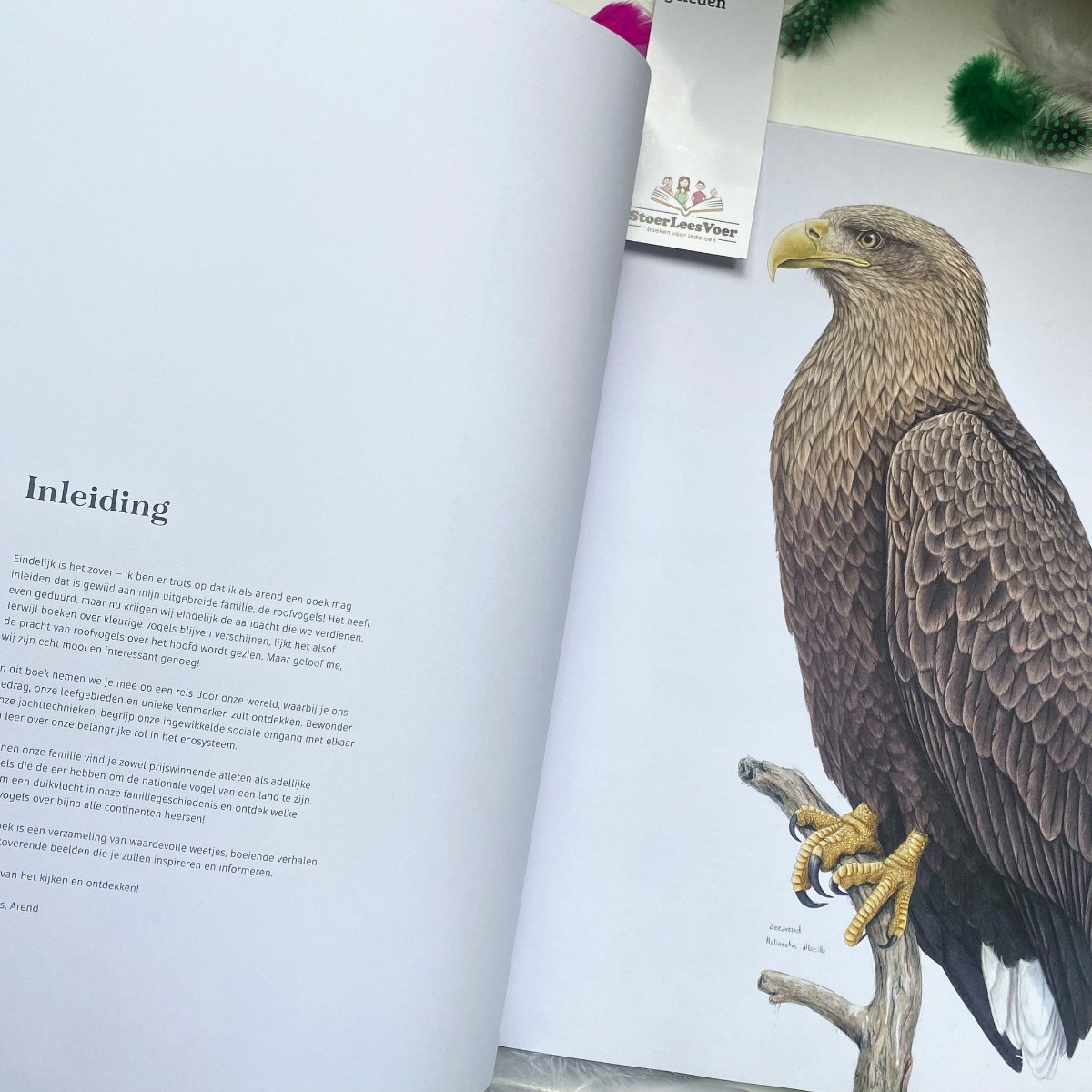 Roofvogels - De Raedt | Weetjesboek prenten | StoerLeesVoer