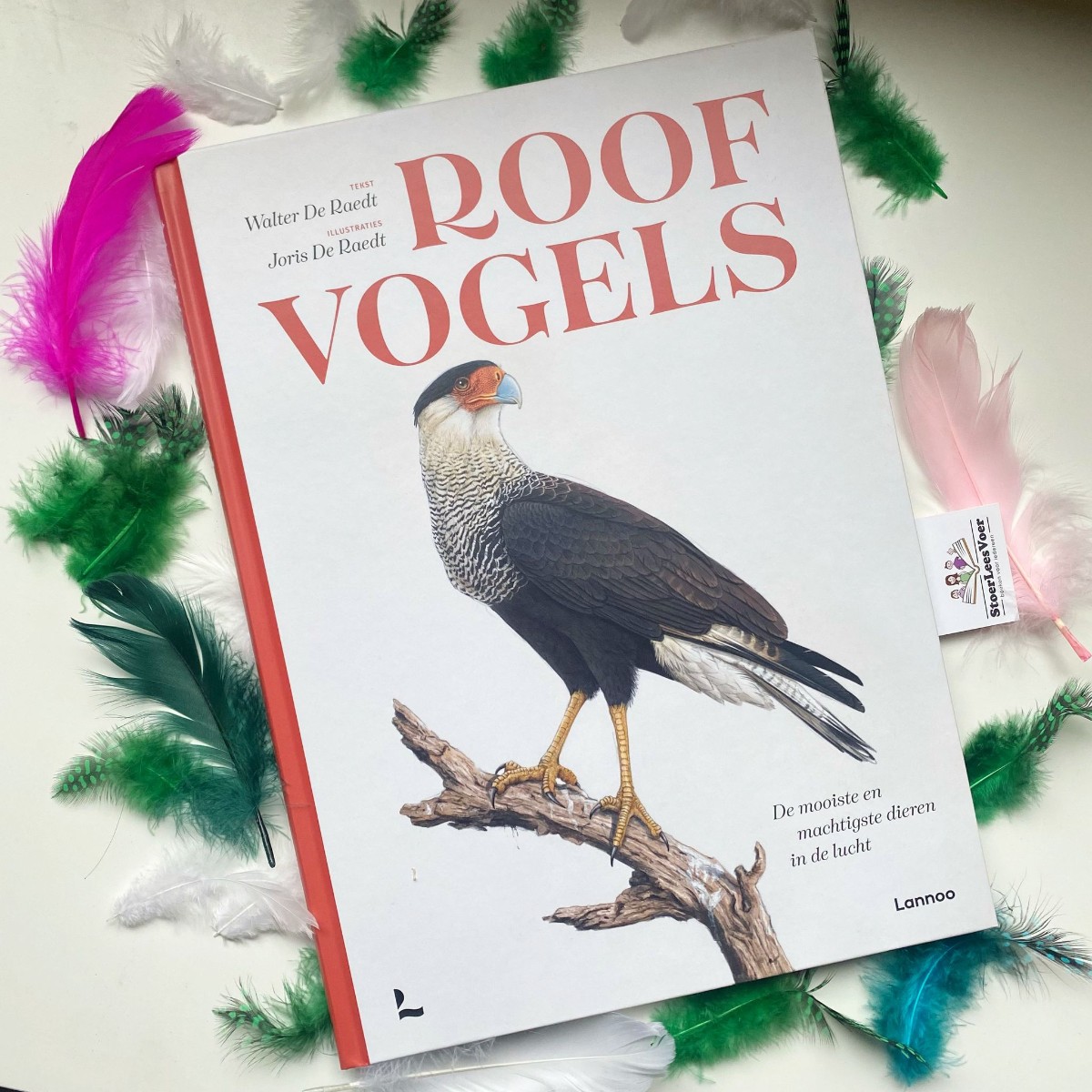 Roofvogels - De Raedt | Weetjesboek prenten | StoerLeesVoer