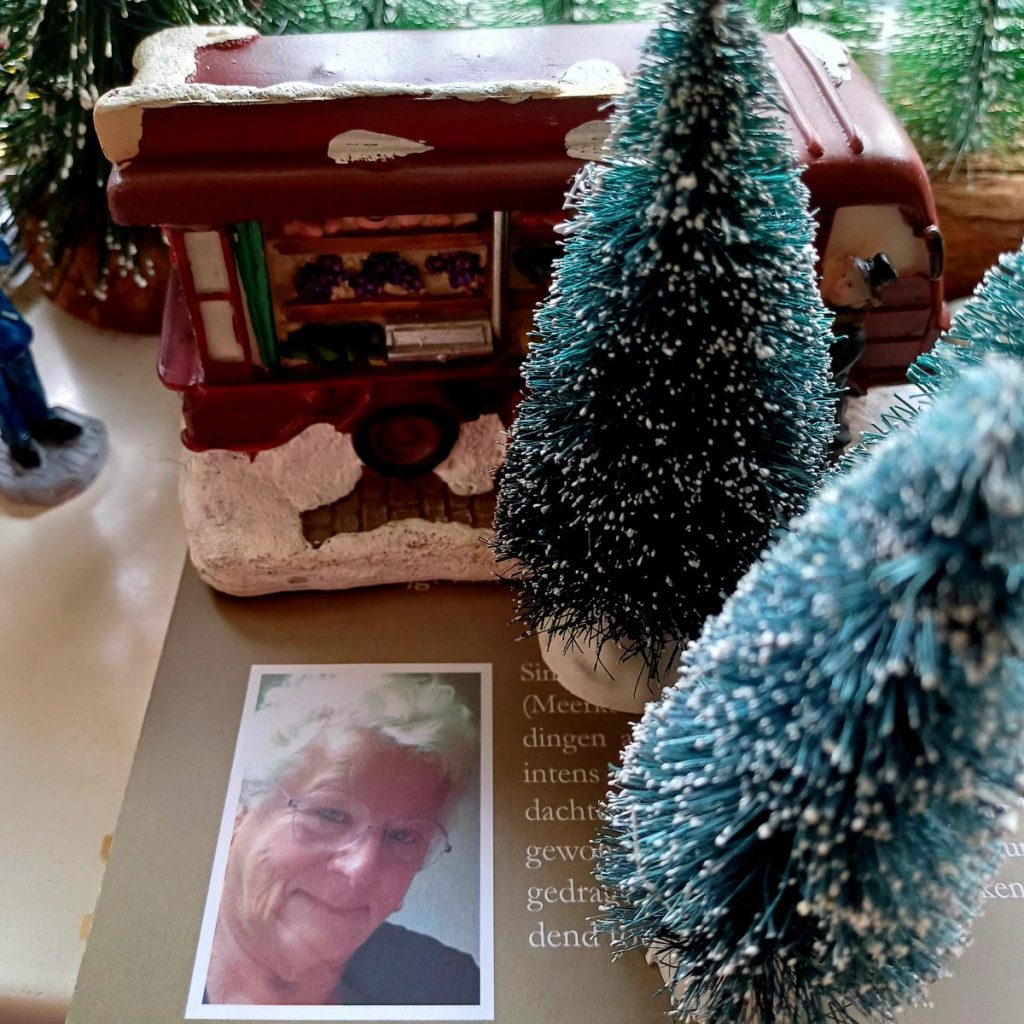 Het dorpsfeest - Cobi Oosterling | Thriller | StoerLeesVoer