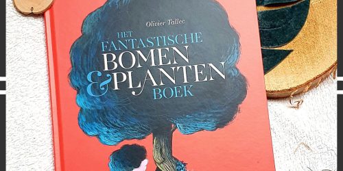 Het Kabouterboek - Loes Riphagen | Prenten | StoerLeesVoer