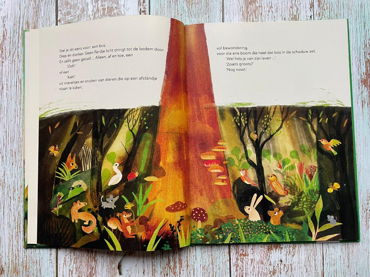 Hout - Kim Crabeels | Prenten weerbaarheid | StoerLeesVoer