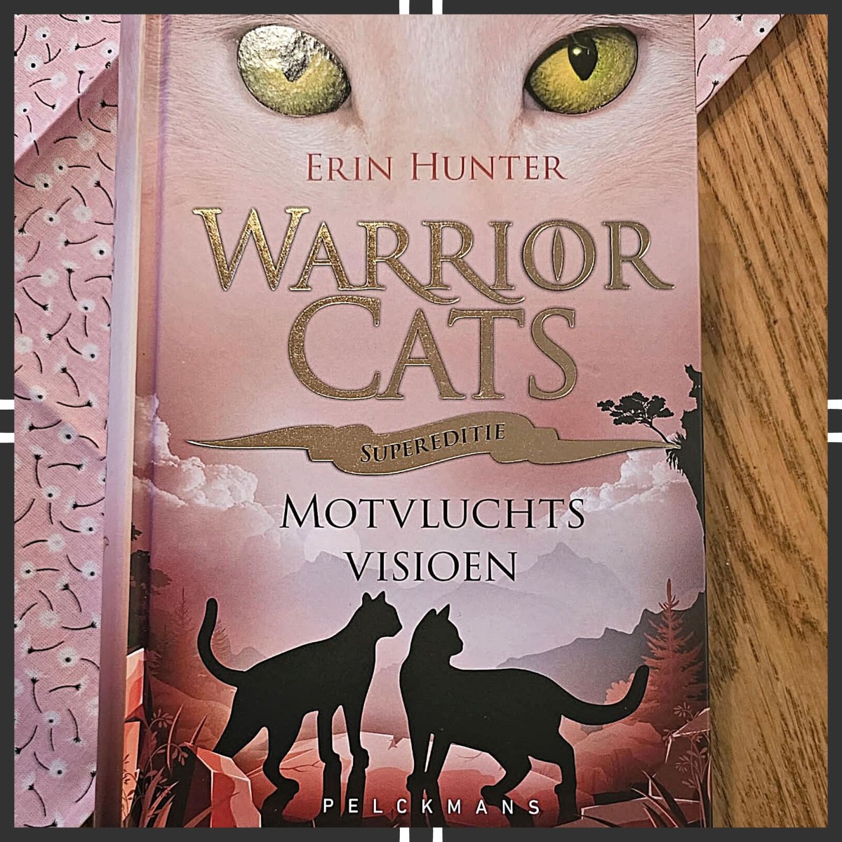 Motvluchts visioen - Erin Hunter | Warrior Cats | StoerLeesVoer