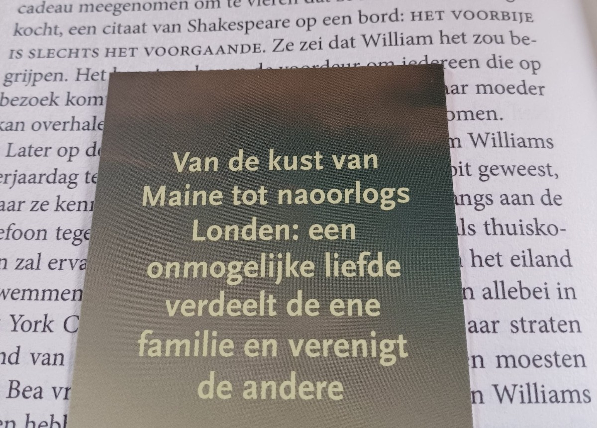 In de verte de zee - Spencer-Ash | Debuutroman | StoerLeesVoer