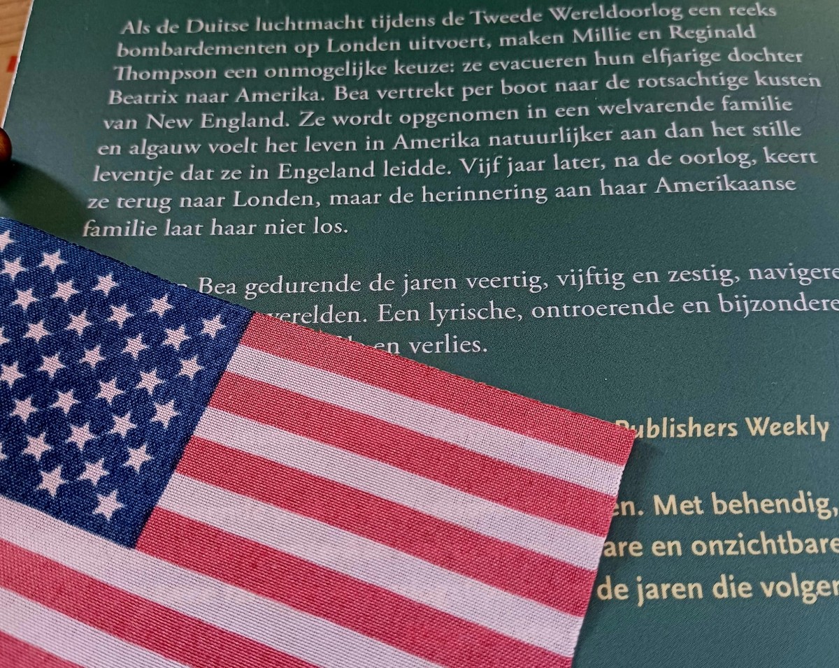 In de verte de zee - Spencer-Ash | Debuutroman | StoerLeesVoer