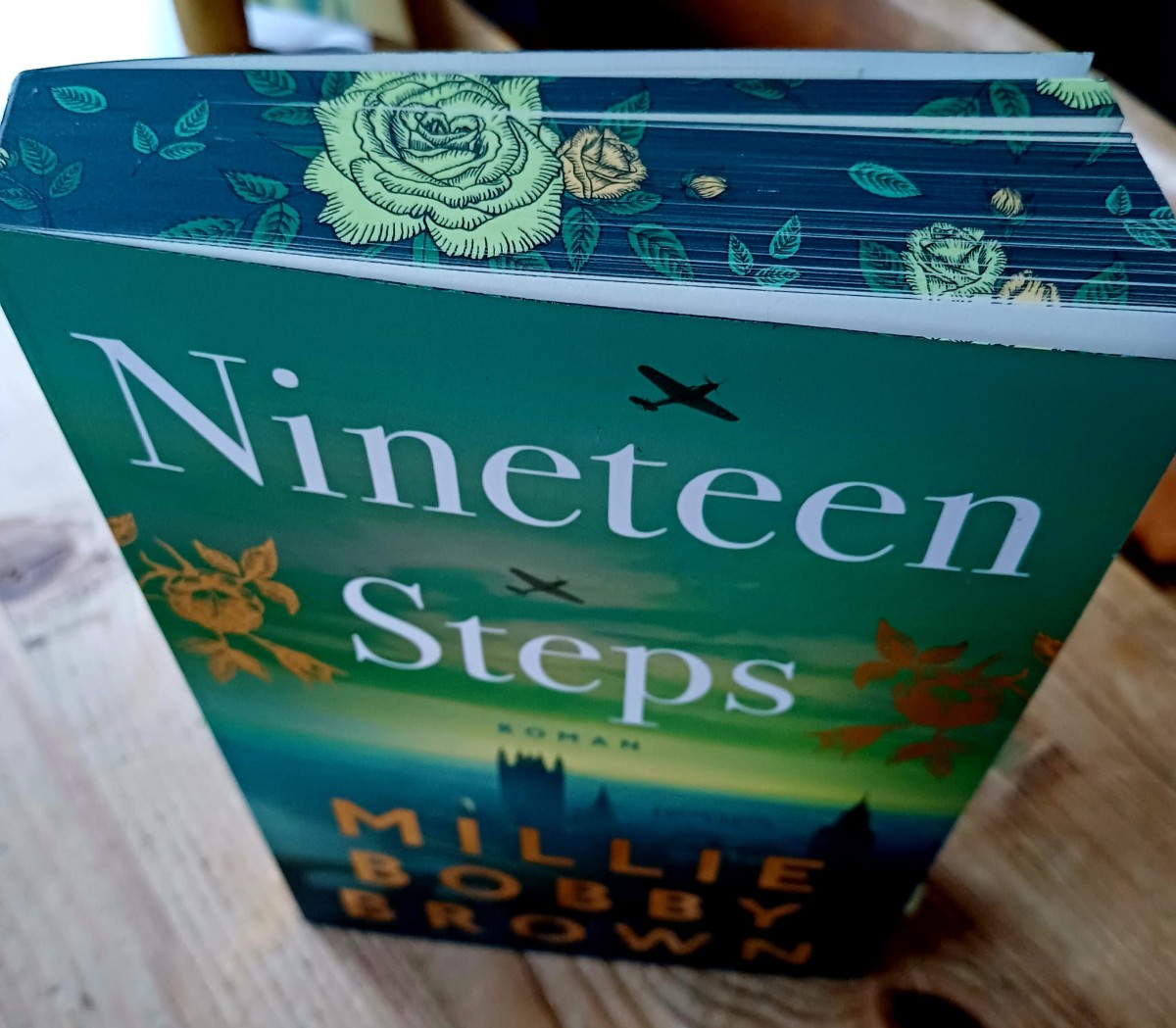 Nineteen Steps - Millie Bobby Brown | Roman | StoerLeesVoer