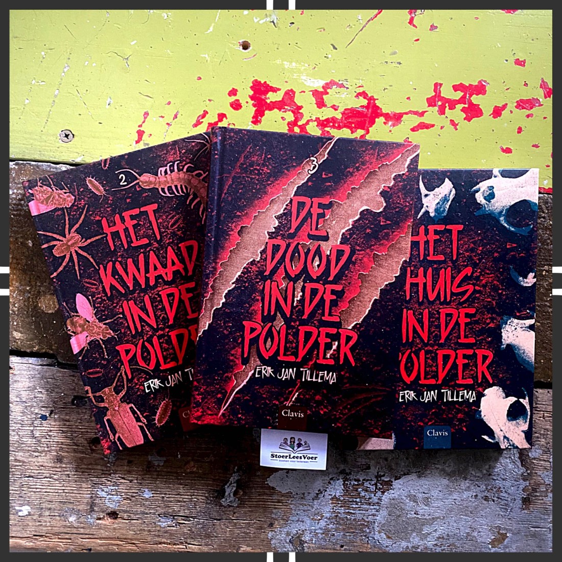De dood in de polder - Tillema | Jeugdhorror | StoerLeesVoer