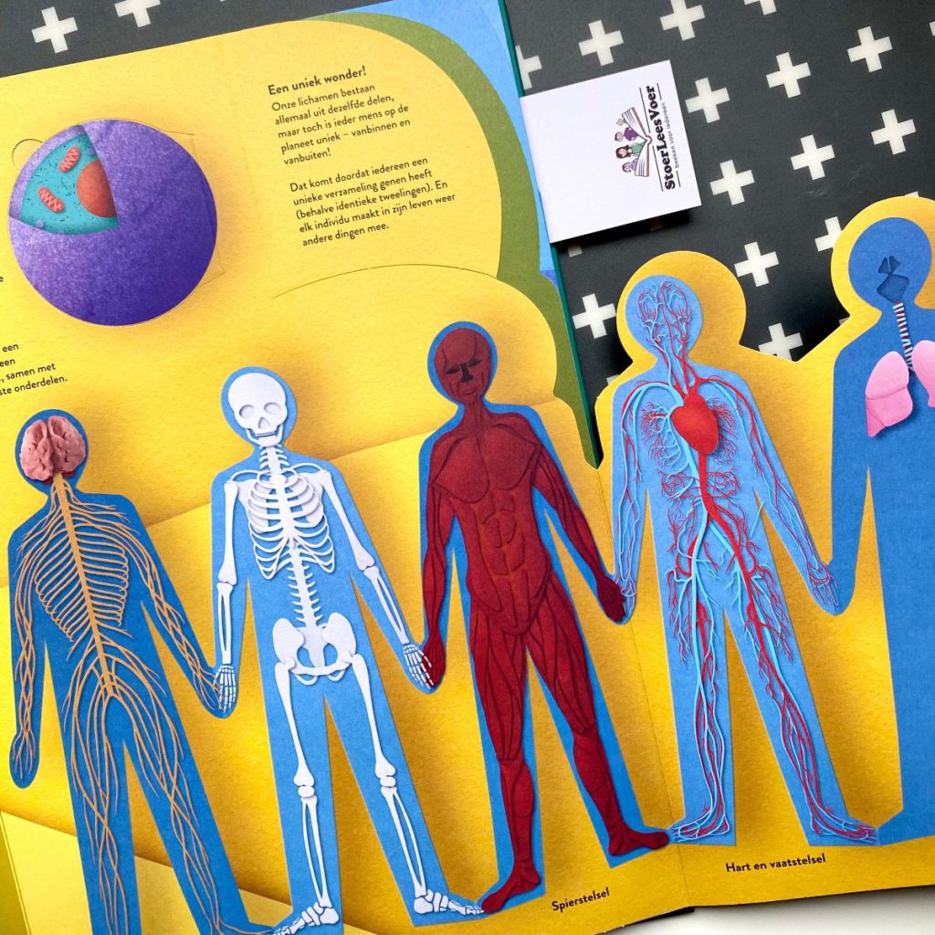 Een reis door het menselijk lichaam | Flapjes | StoerLeesVoer
