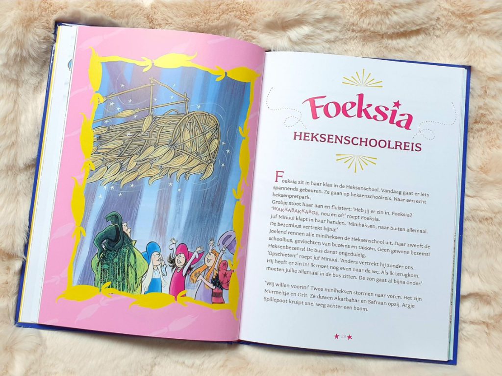 Het vrolijke voorleesboek van Foeksia de Miniheks - Loon | SLV