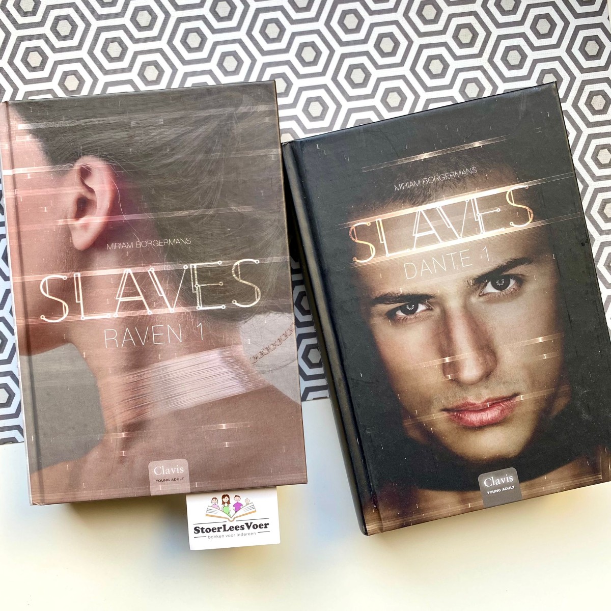 Slaves Raven 1 - Borgermans | YA Dystopie | StoerLeesVoer