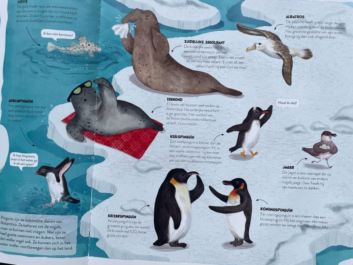 Zuidpool en Noordpool - Rongbin | Weetjesboek | StoerLeesVoer