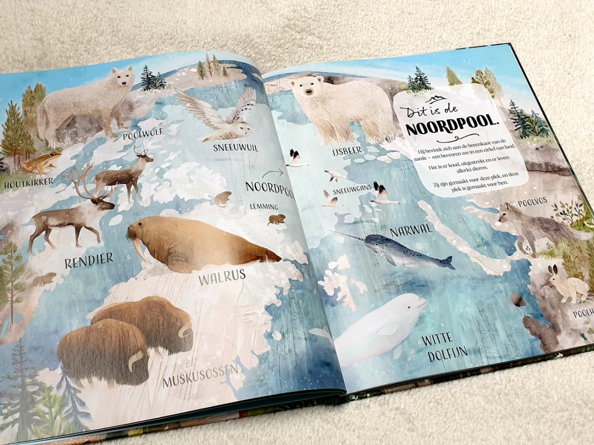Een Noordpoolverhaal - Jane Burnard | Natuur | StoerLeesVoer