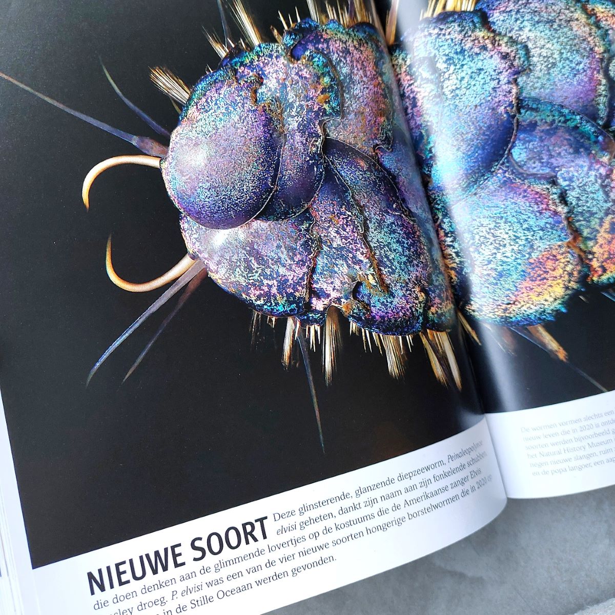 Onze wereld in beeld | Encyclopedie kinderen | StoerLeesVoer