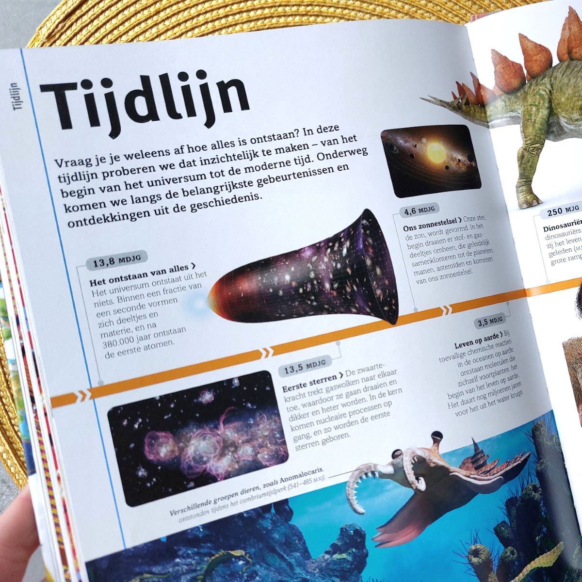 Onze wereld in beeld | Encyclopedie kinderen | StoerLeesVoer