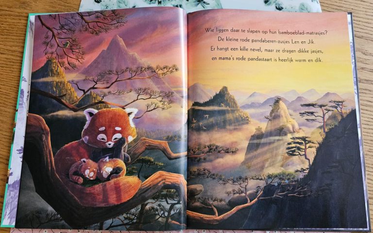 Beloofd is beloofd kleine panda's | Prent op rijm | StoerLeesVoer