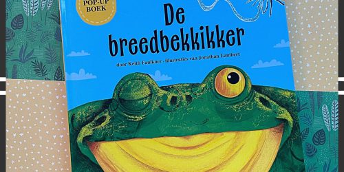 Het Kabouterboek - Loes Riphagen | Prenten | StoerLeesVoer