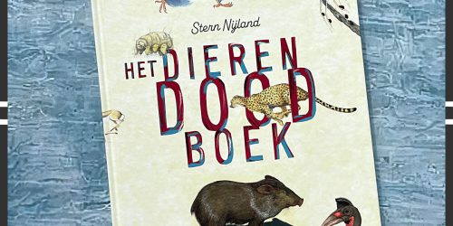 Het Kabouterboek - Loes Riphagen | Prenten | StoerLeesVoer