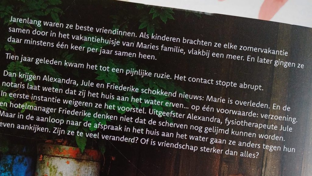 Het huis aan het water - Dora Heldt | Roman | StoerLeesVoer