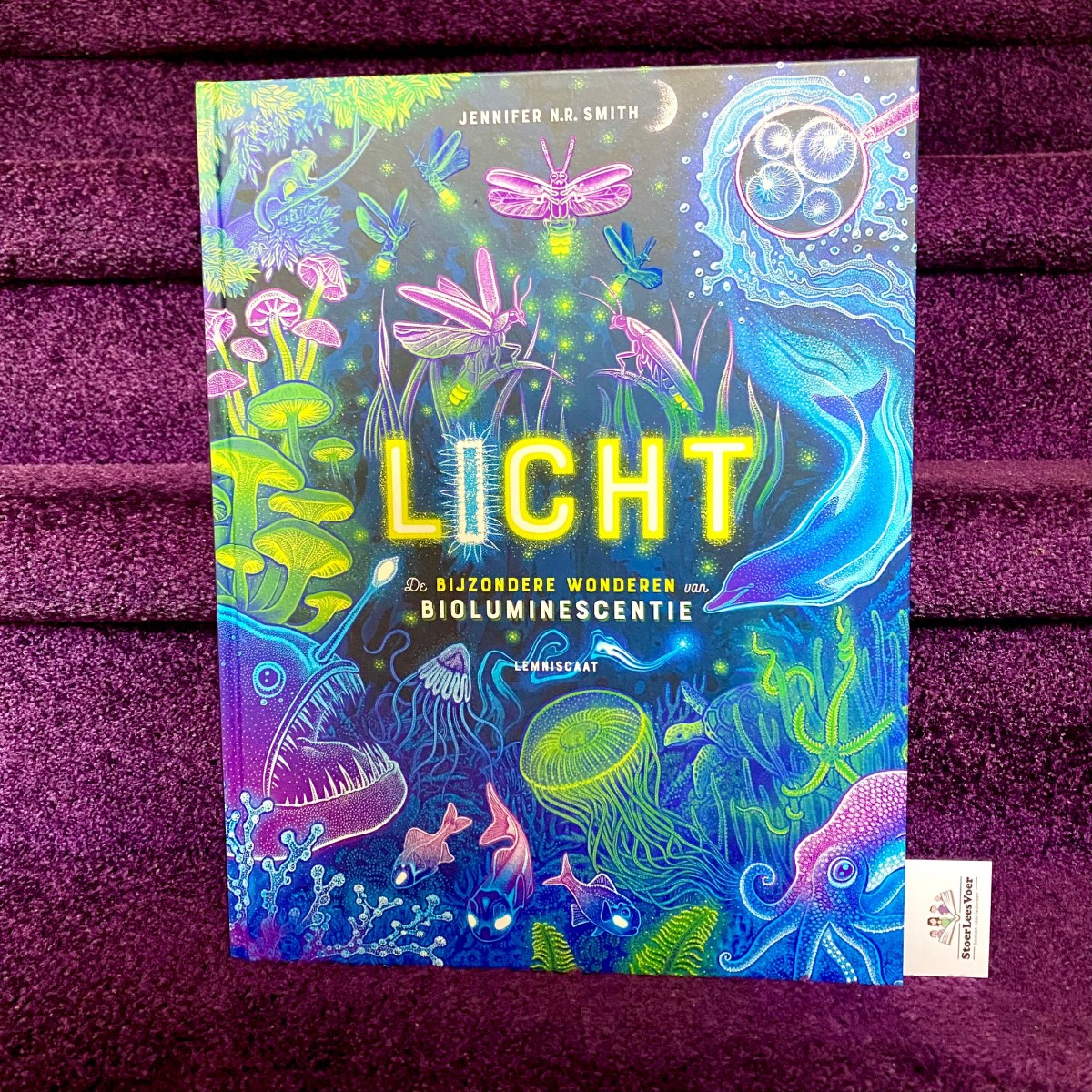 Licht - Jennifer R.N. Smith | Jeugd weetjes | StoerLeesVoer