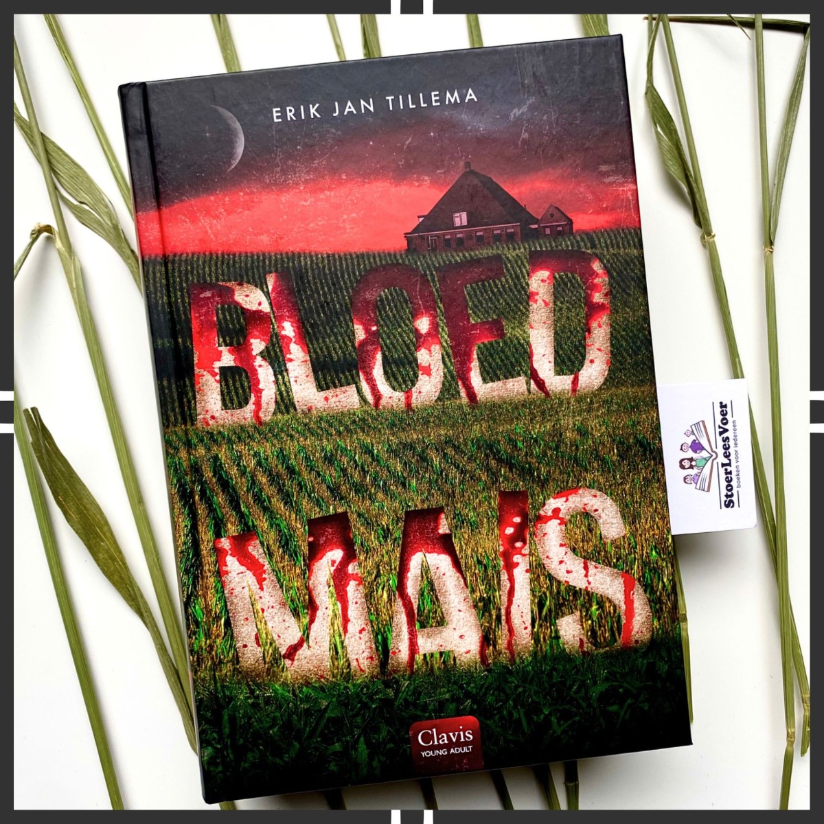 Bloedmais - Erik Jan Tillema | YA Horror | StoerLeesVoer