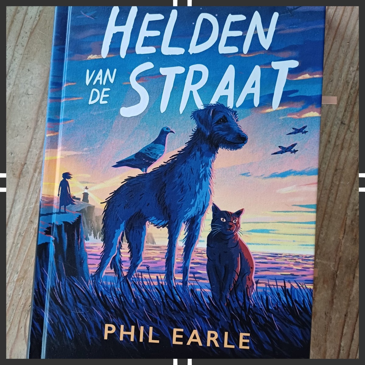Helden van de straat - Earle | Jeugdoorlogsboek | StoerLeesVoer