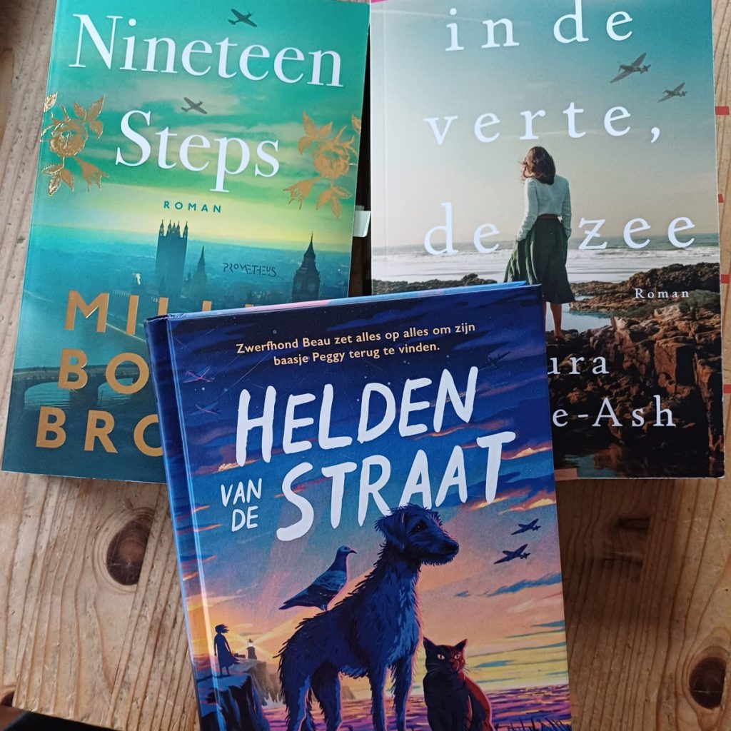 Helden van de straat - Earle | Jeugdoorlogsboek | StoerLeesVoer