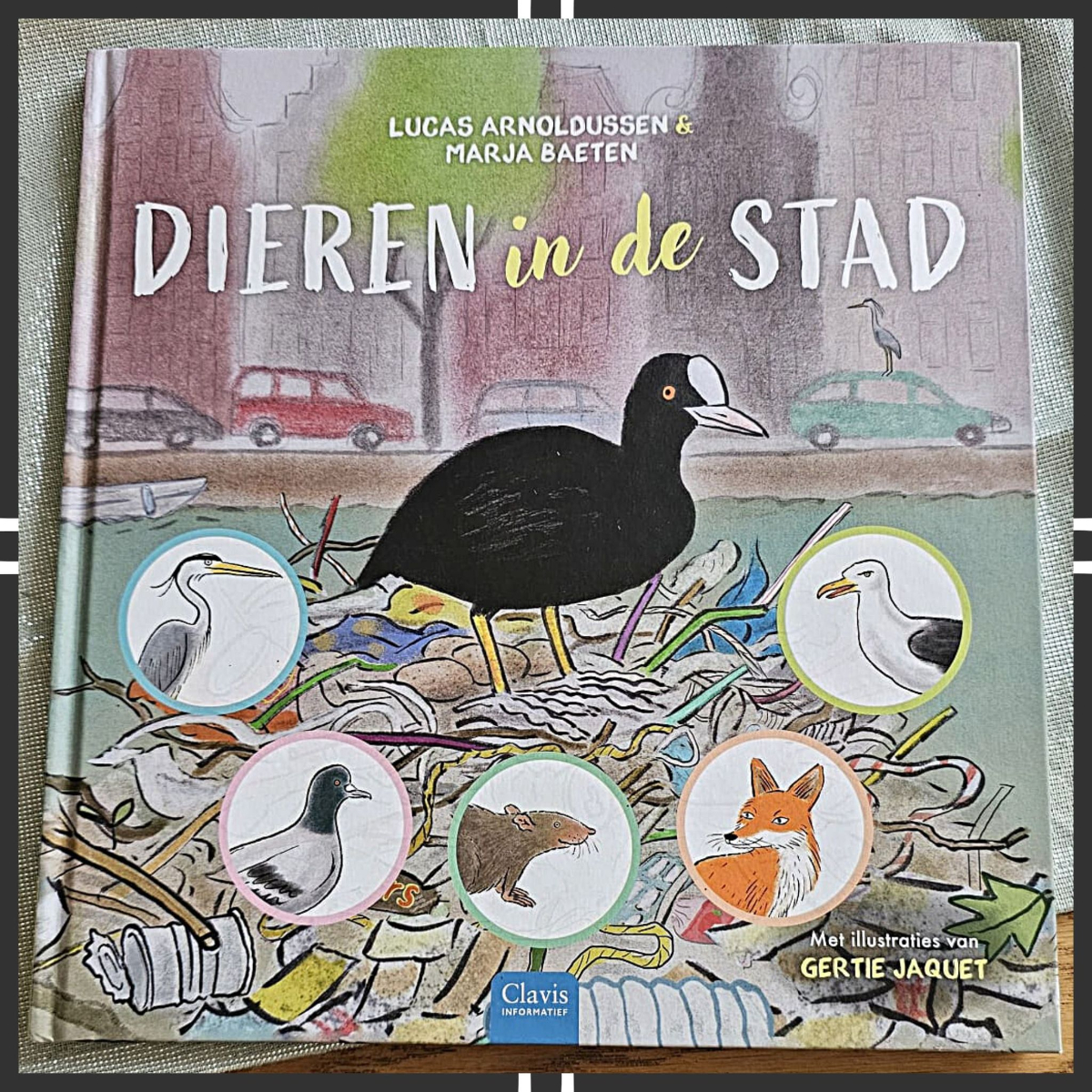 Dieren in de stad | Clavis informatief prenten | StoerLeesVoer