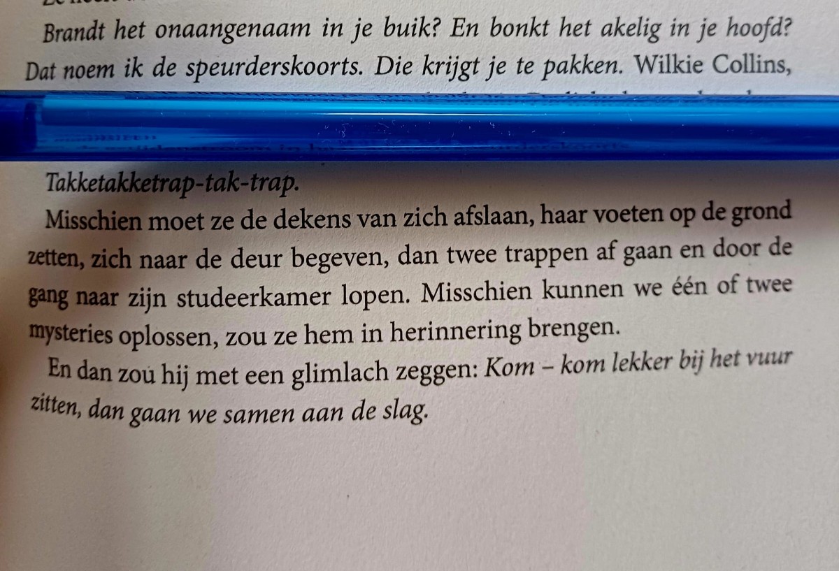 Einde verhaal - A.J. Finn | Thriller | StoerLeesVoer