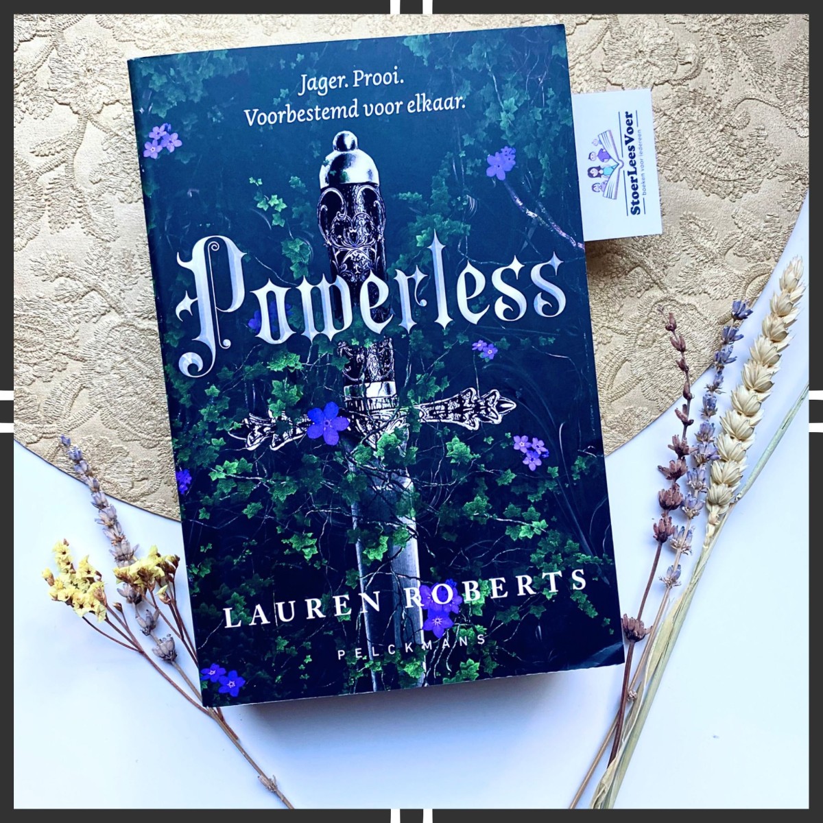 Powerless - Lauren Roberts | Romantasy deel 1 | StoerLeesVoer