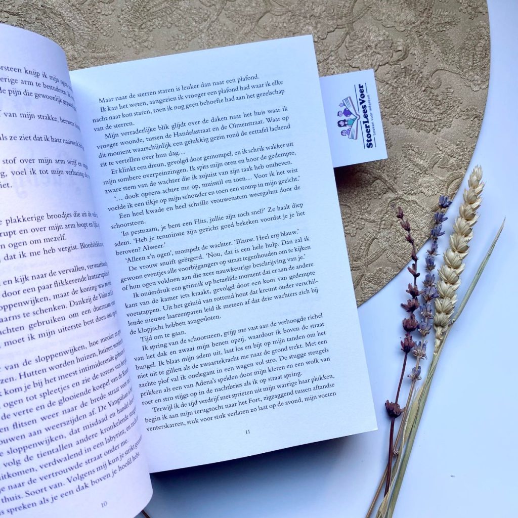 Powerless - Lauren Roberts | Romantasy deel 1 | StoerLeesVoer