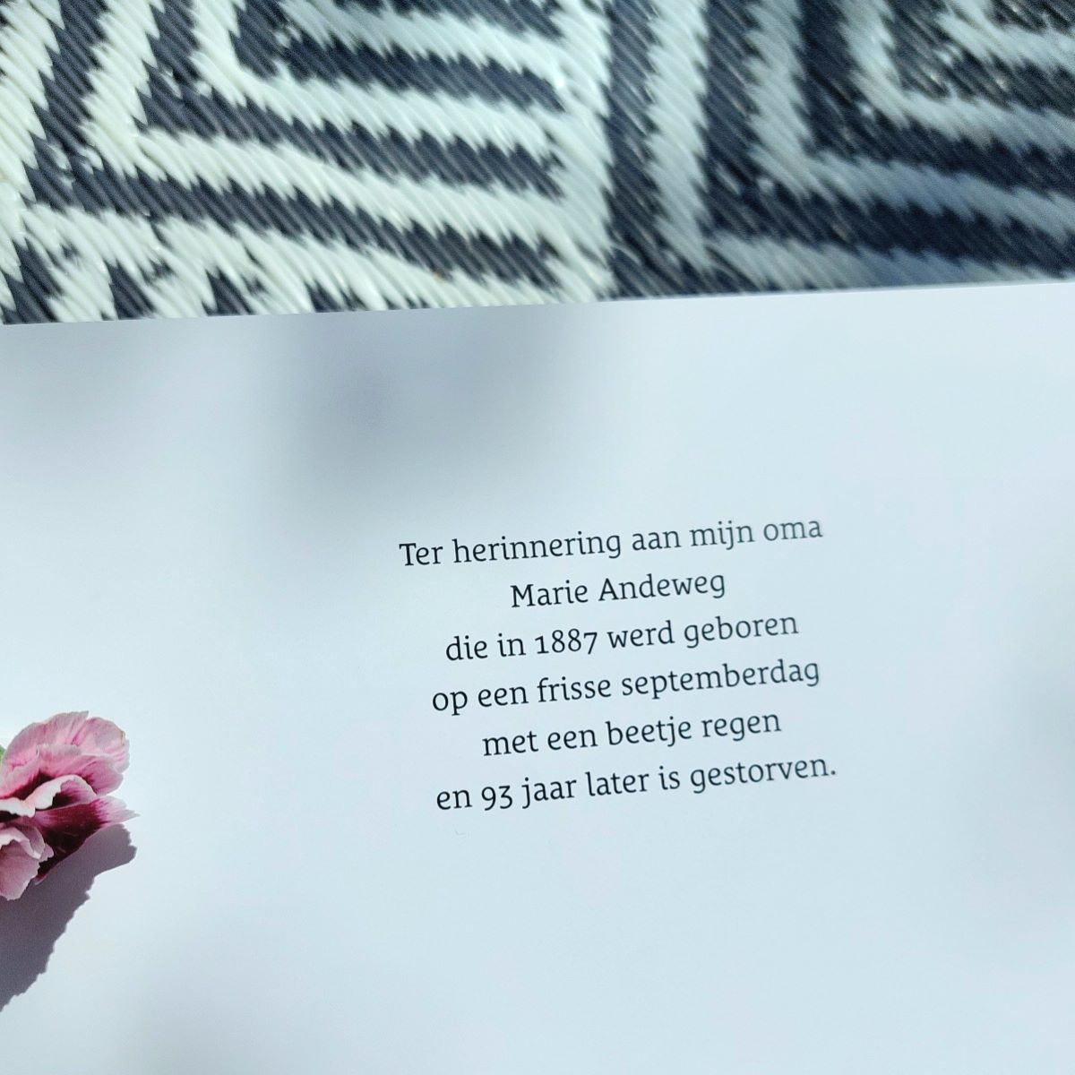 De weg naar morgenochtend - Joke van Leeuwen | StoerLeesVoer