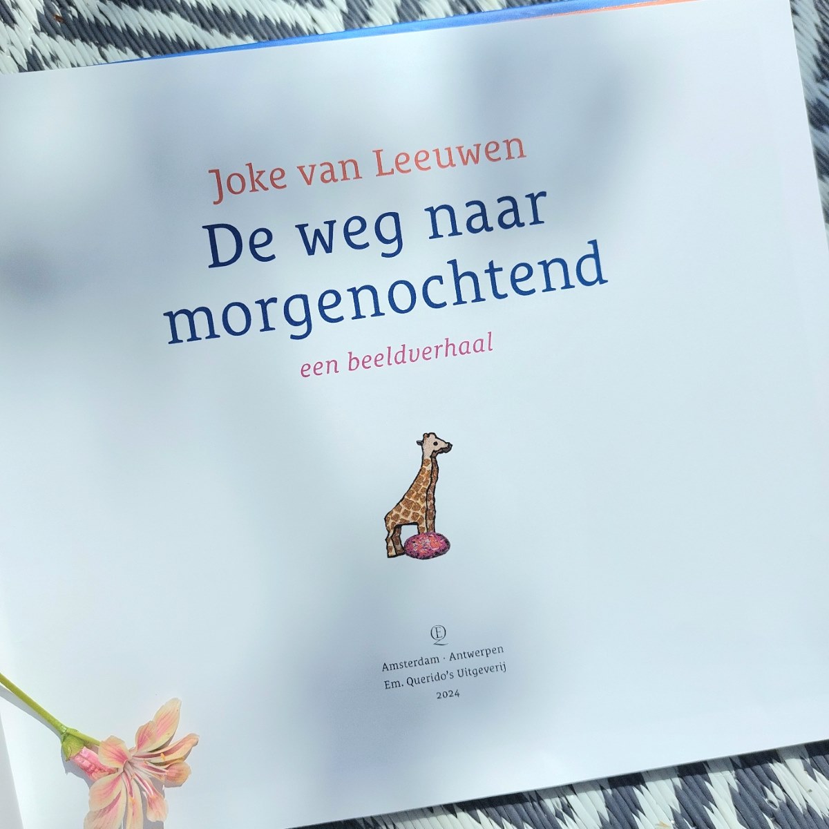 De weg naar morgenochtend - Joke van Leeuwen | StoerLeesVoer