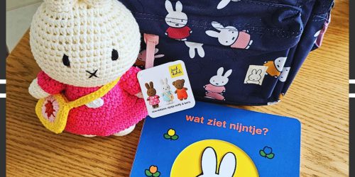 Het Kabouterboek - Loes Riphagen | Prenten | StoerLeesVoer