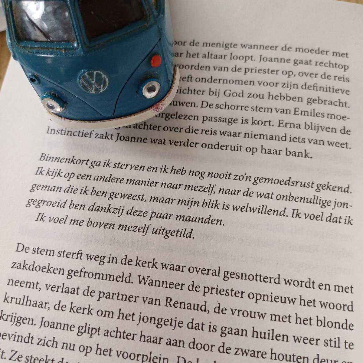 Al het blauw van de hemel - Da Costa | Roman | StoerLeesVoer