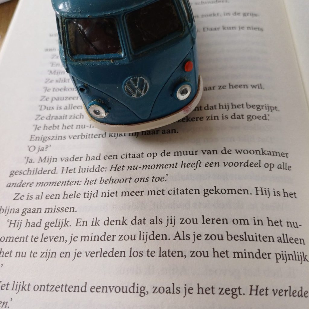 Al het blauw van de hemel - Da Costa | Roman | StoerLeesVoer