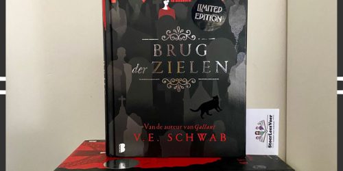 Kamer 333 - K.R. Alexander | Horrorland serie | StoerLeesVoer