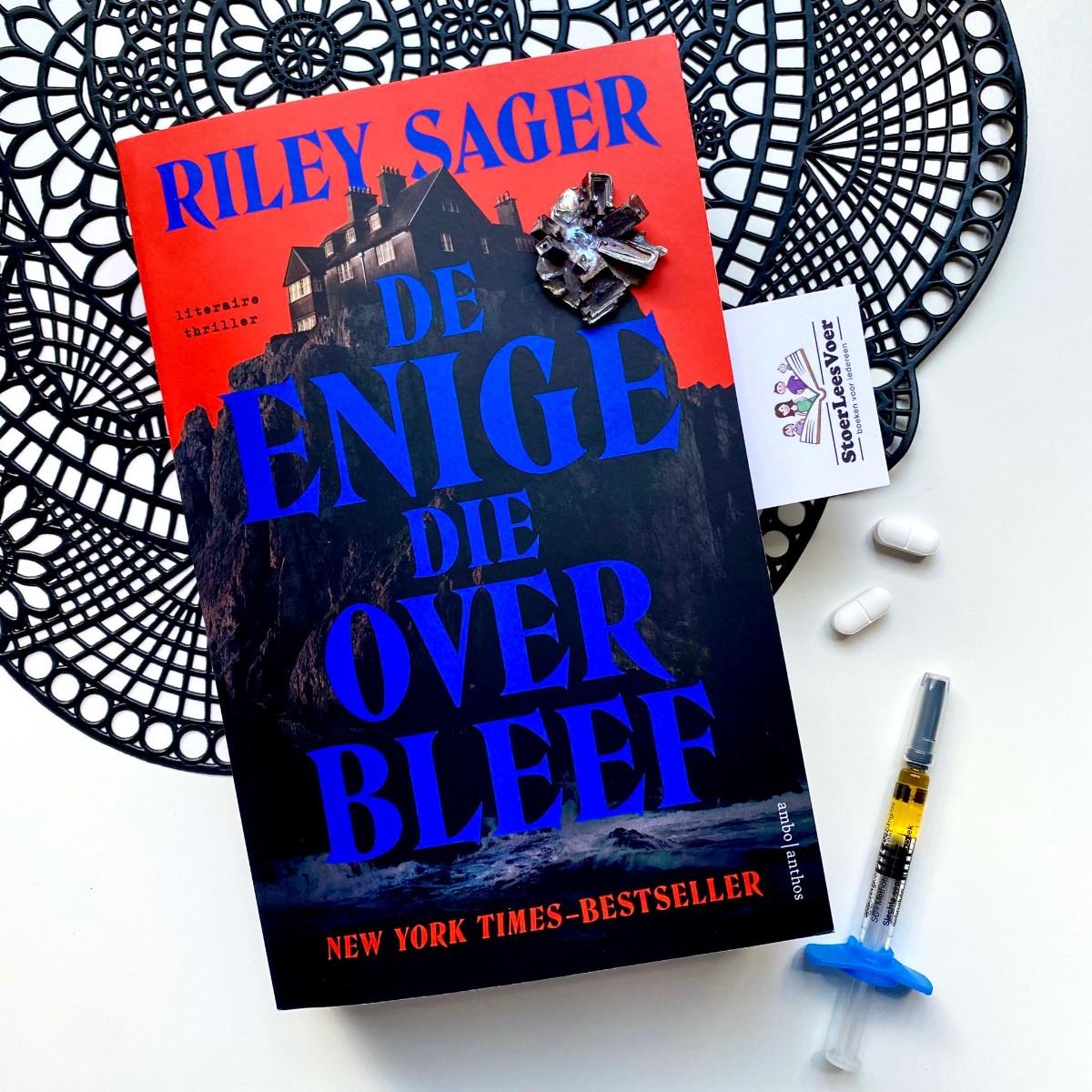De enige die overbleef - Sager | Literaire thriller | StoerLeesVoer