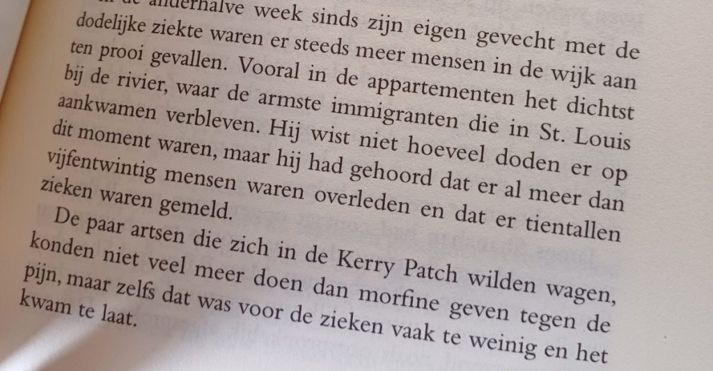 De perfecte match - Hedlunde | Historische roman | StoerLeesVoer