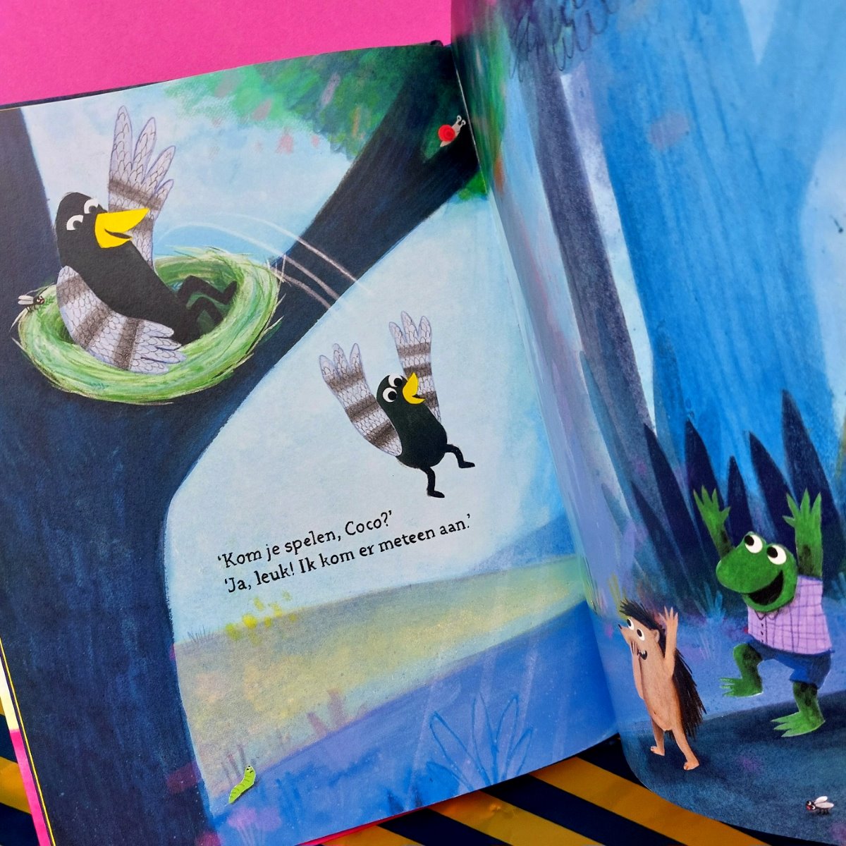 Coco en het gekke ding - Loes Riphagen | StoerLeesVoer