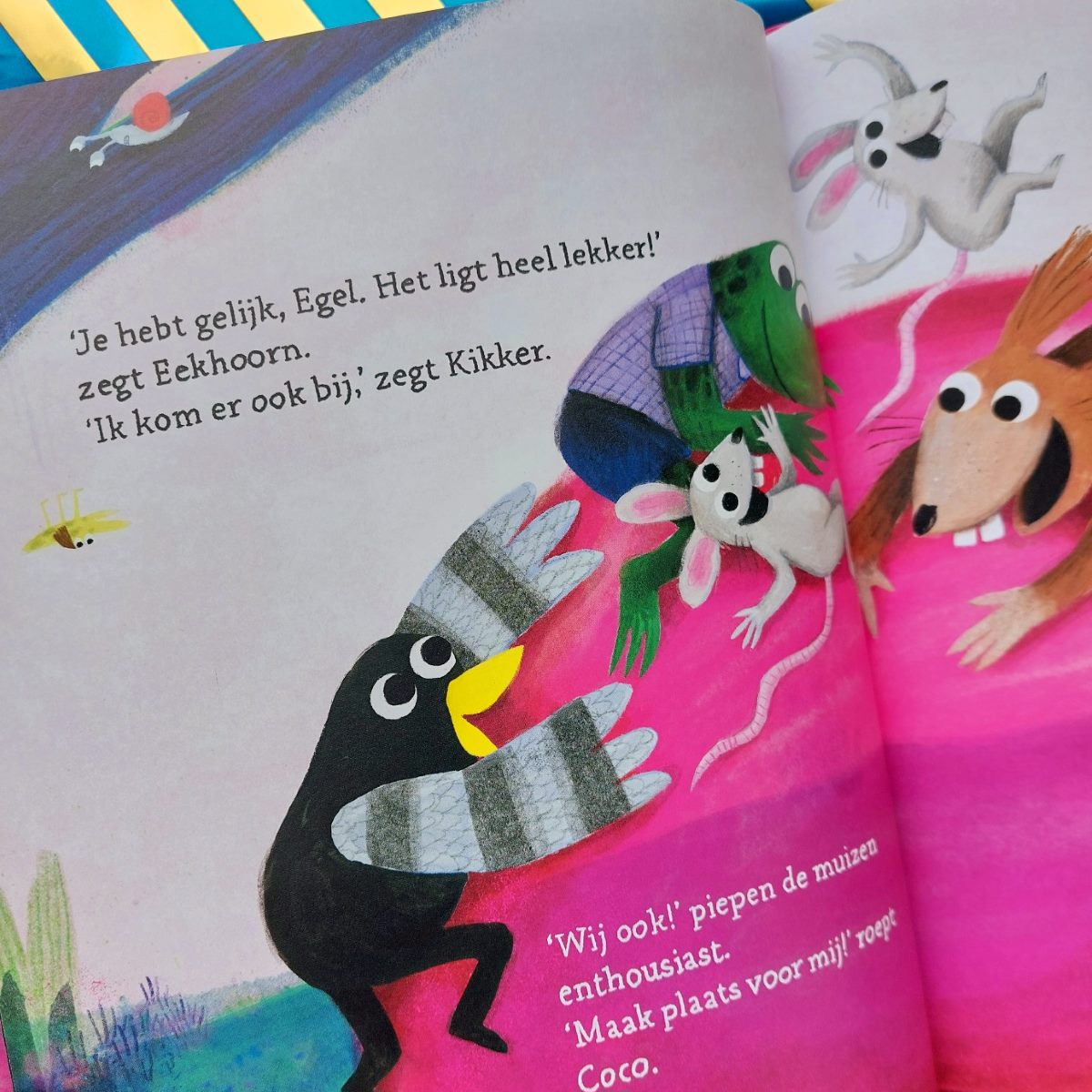 Coco en het gekke ding - Loes Riphagen | StoerLeesVoer