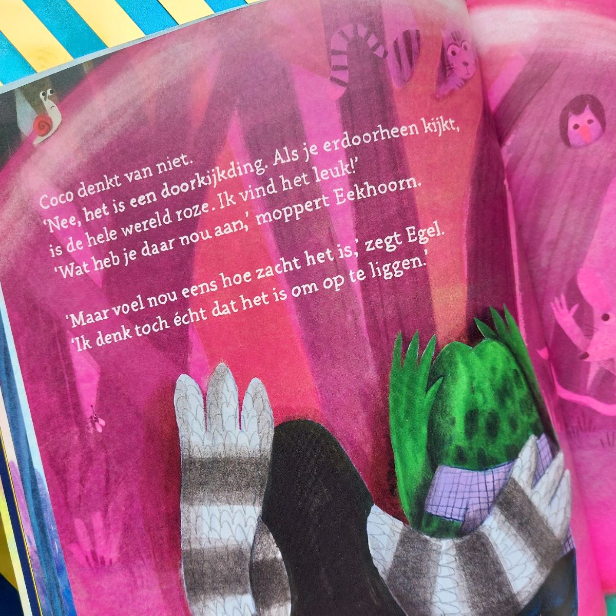 Coco en het gekke ding - Loes Riphagen | StoerLeesVoer