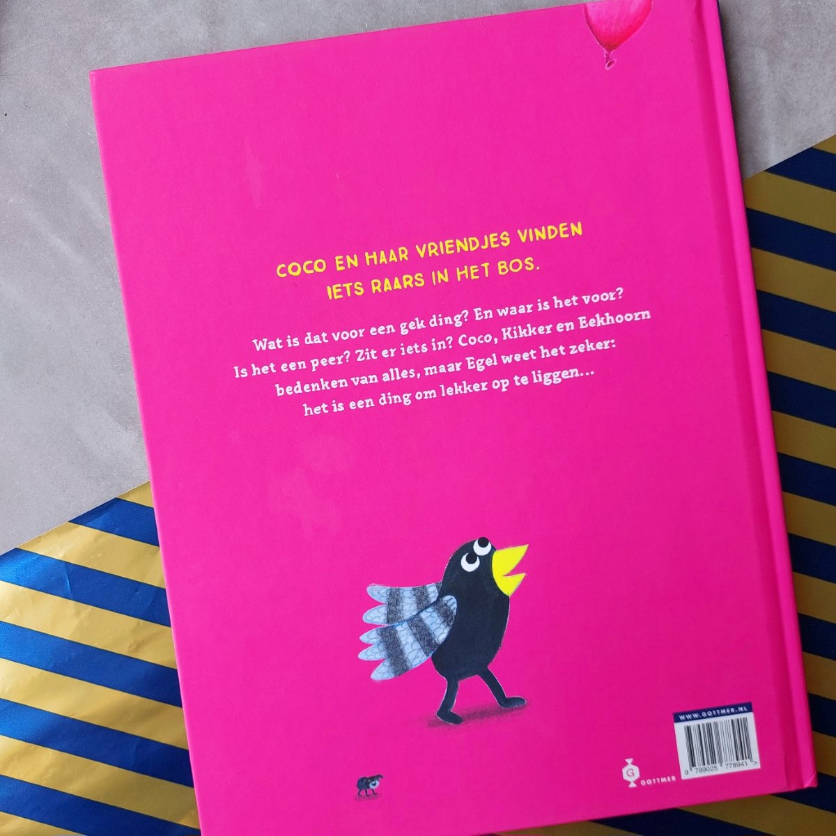 Coco en het gekke ding - Loes Riphagen | StoerLeesVoer