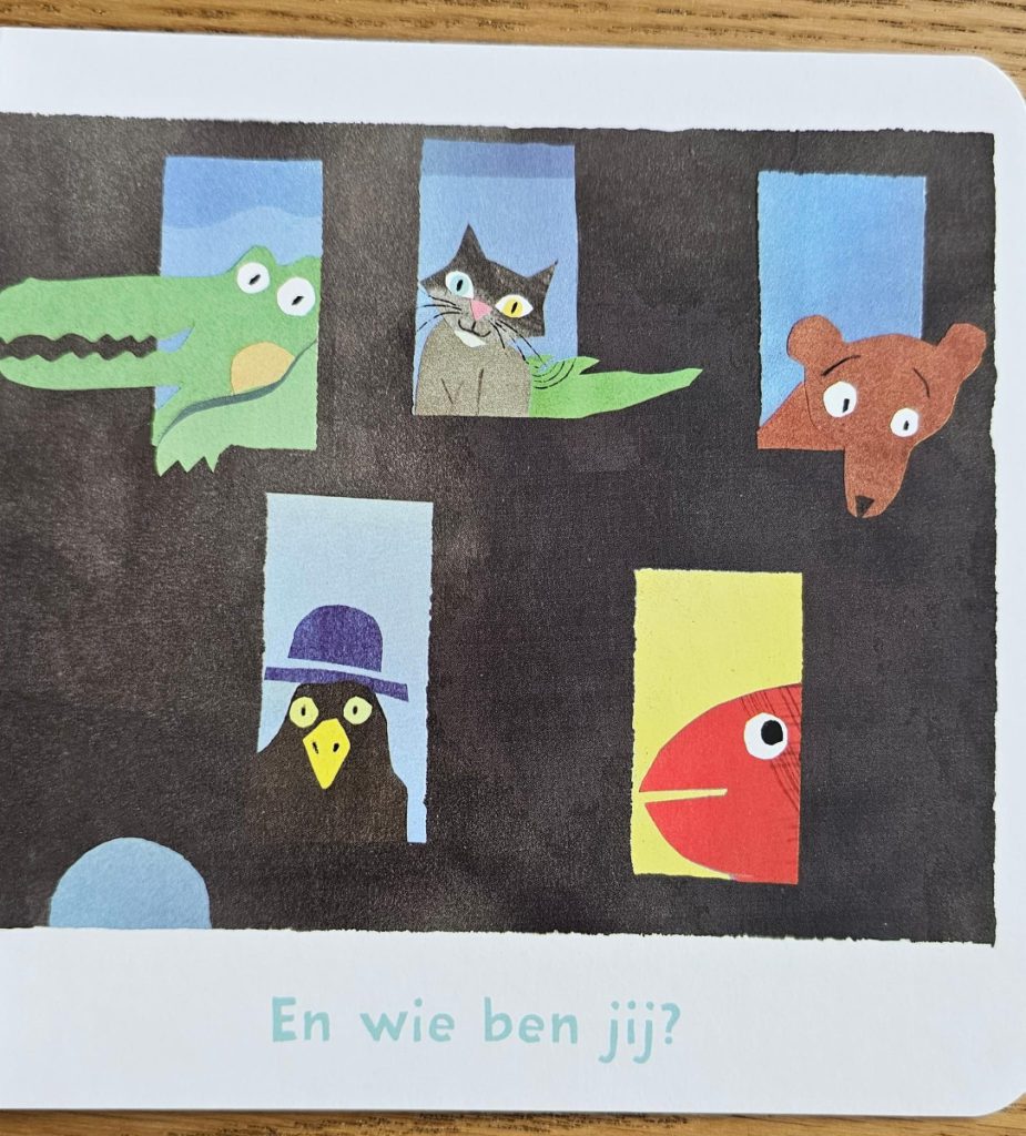 Wie ben jij? - Jan Jutte | Kartonboek peuters | StoerLeesVoer