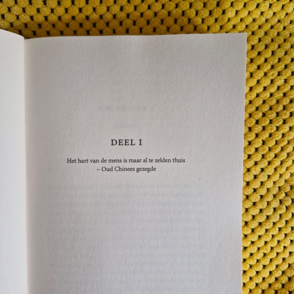 De zondebok - Kasper van Beek | Thriller | StoerLeesVoer