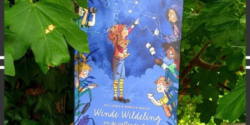 Ontdek de grote wereld van kleine insecten - Hegarty | StoerLeesVoer